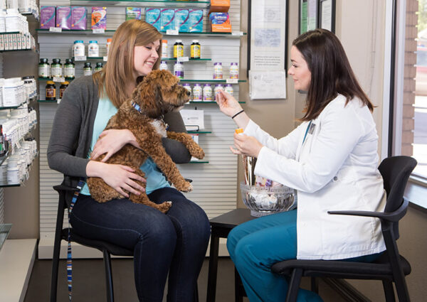 Services – North Orange Veterinary Clinic