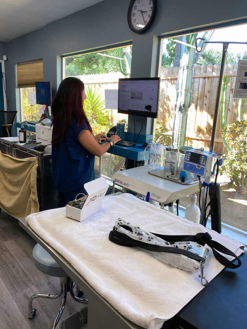 Our Veterinarians – North Orange Veterinary Clinic