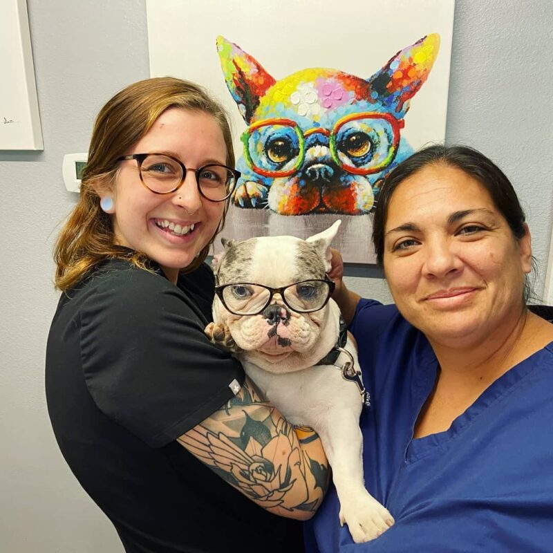 Gallery – North Orange Veterinary Clinic